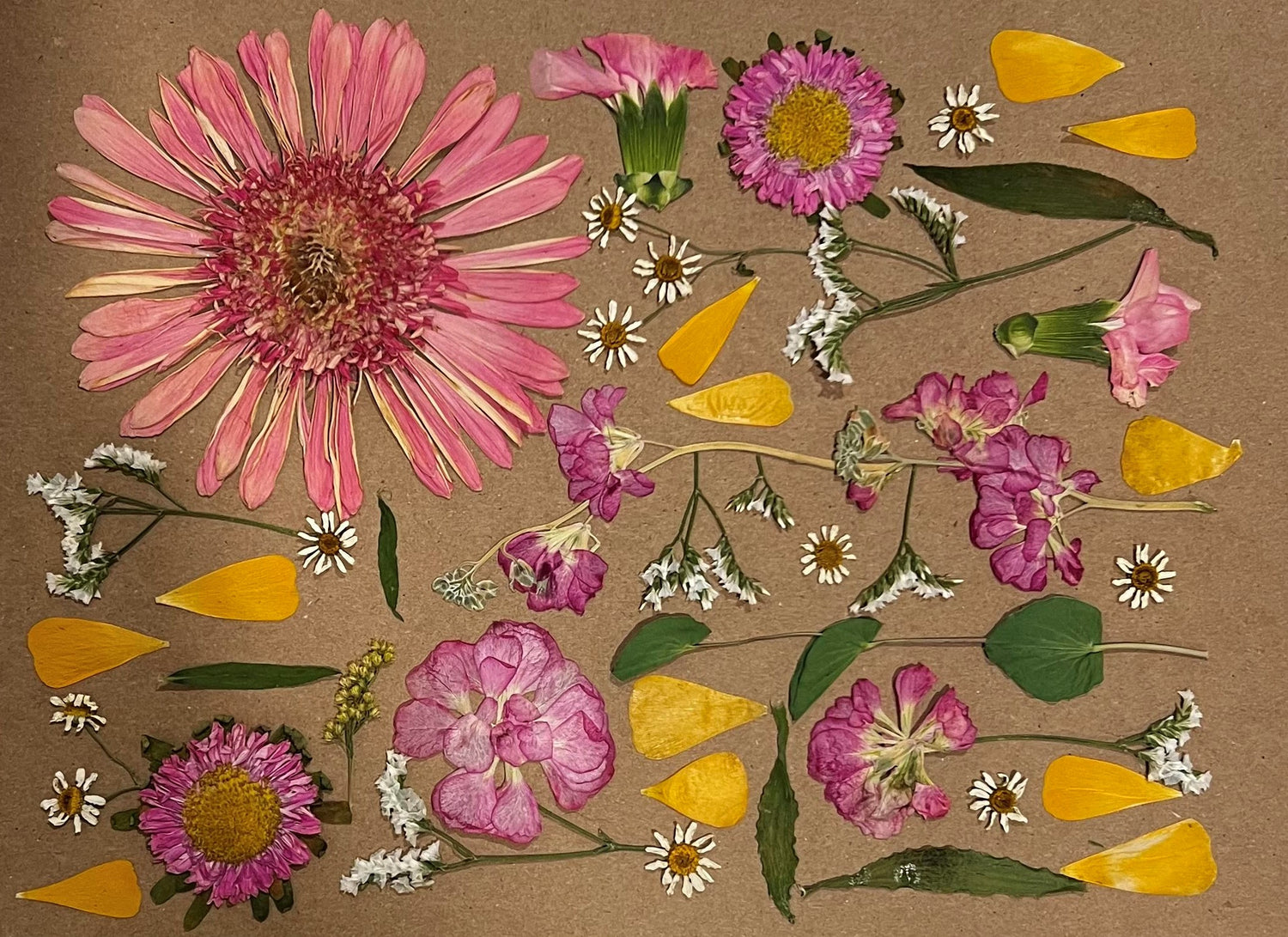 Pressed Floral Arrangements, Pressed Flowers, Framed Flowers – Bernie's ...